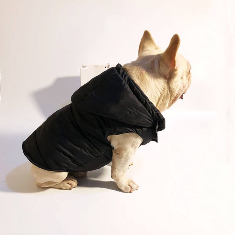 English Bulldog Jackets & Coats | Seasonal Comfort & Style